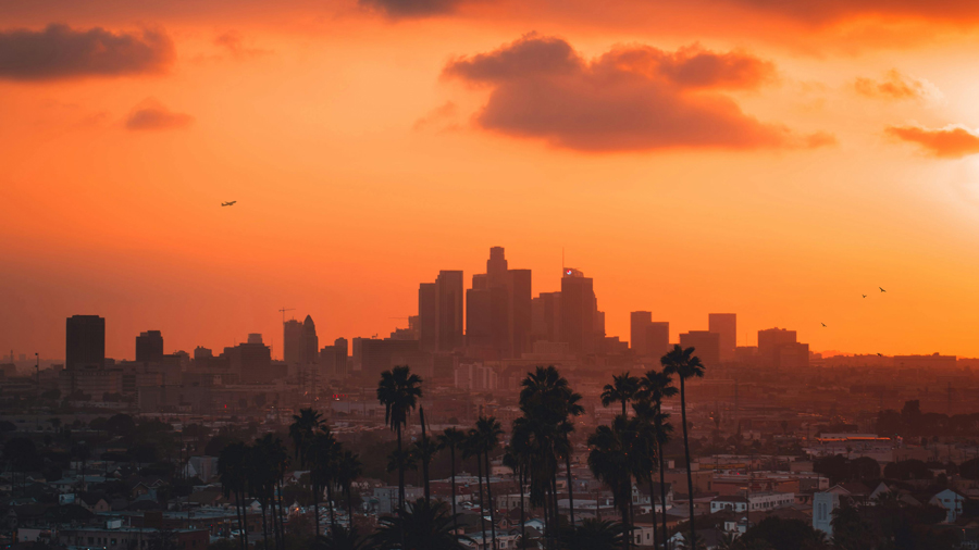 Wildfire and Windstorm Resources