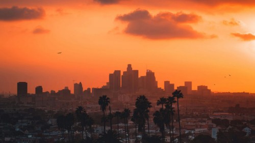 Wildfire and Windstorm Resources