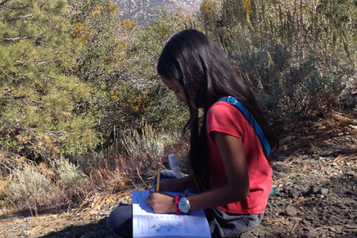 Outdoor Marine Field Study