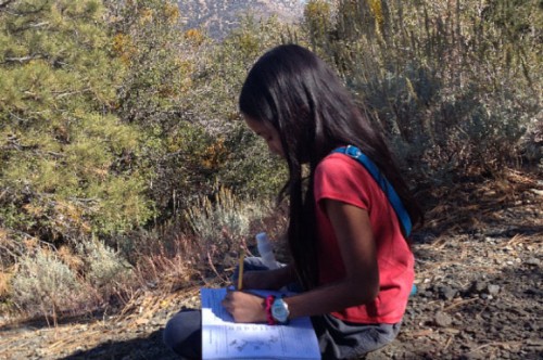 Outdoor Marine Field Study